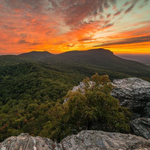 Piedmont Triad Regional Council